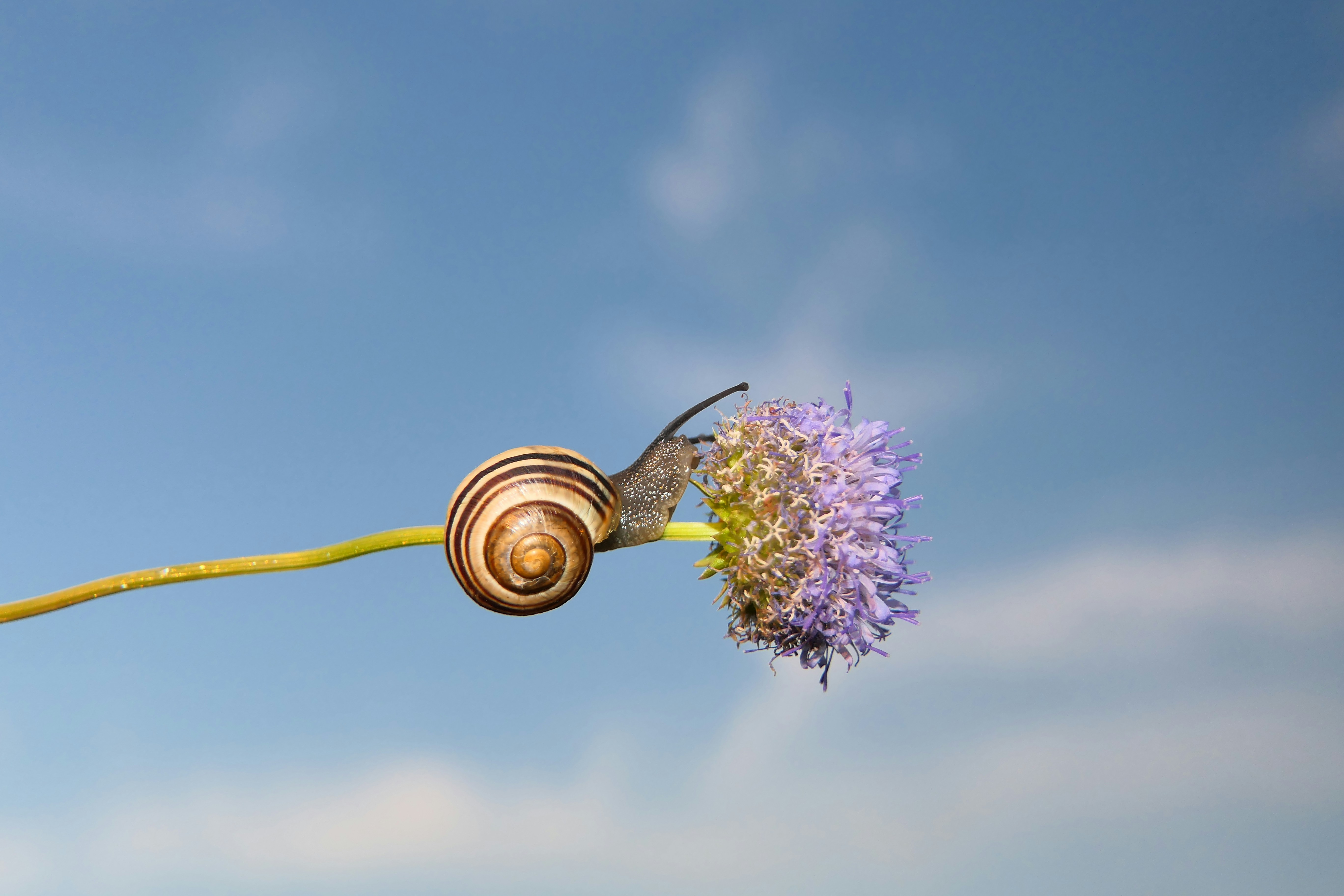 The strategy of degrowth | Heinrich Böll Stiftung - Thessaloniki Office