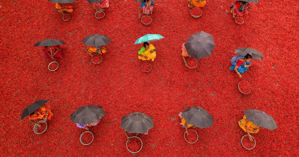 Gender-responsive climate finance as a tool in Green Foreign & Security ...